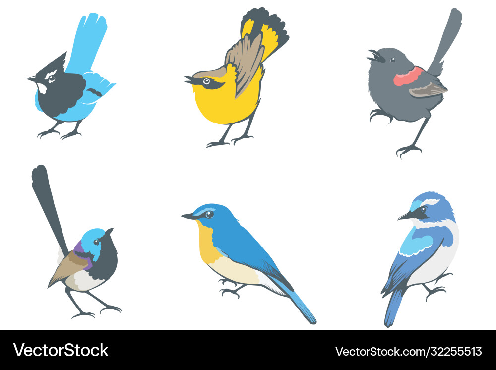 Bird set Royalty Free Vector Image - VectorStock