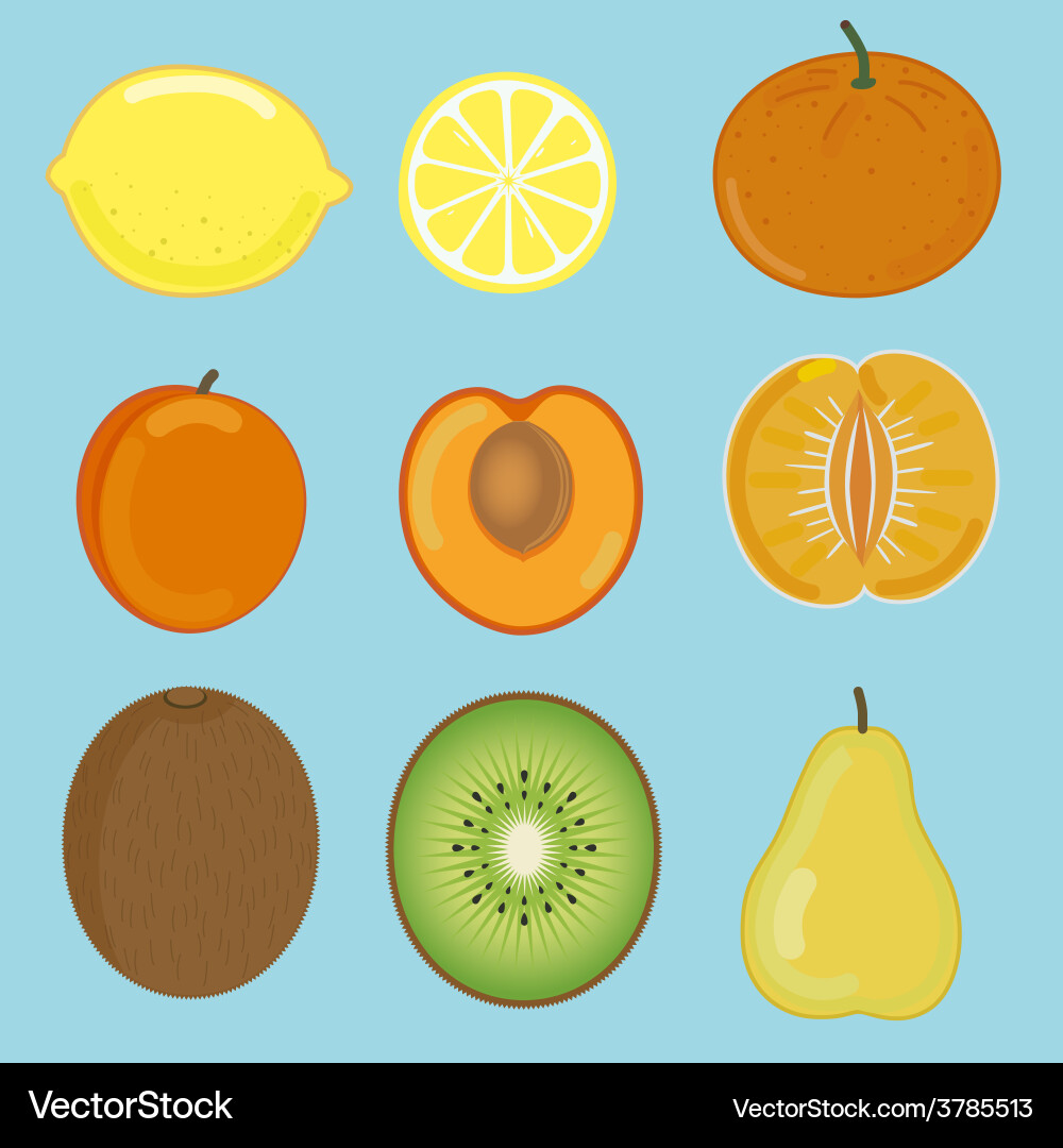 Fruit set Royalty Free Vector Image - VectorStock