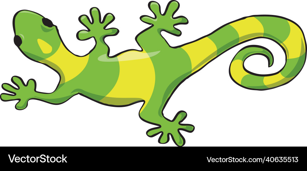 Lizard geko Royalty Free Vector Image - VectorStock