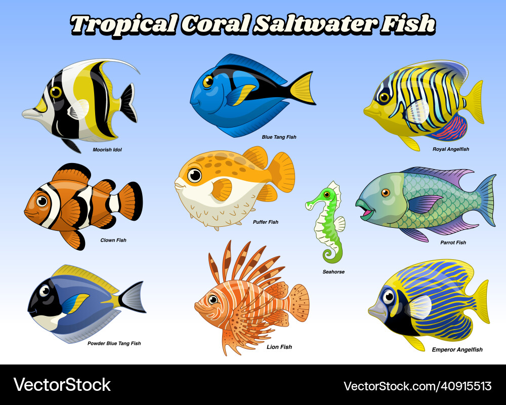 Set of coral saltwater fish Royalty Free Vector Image