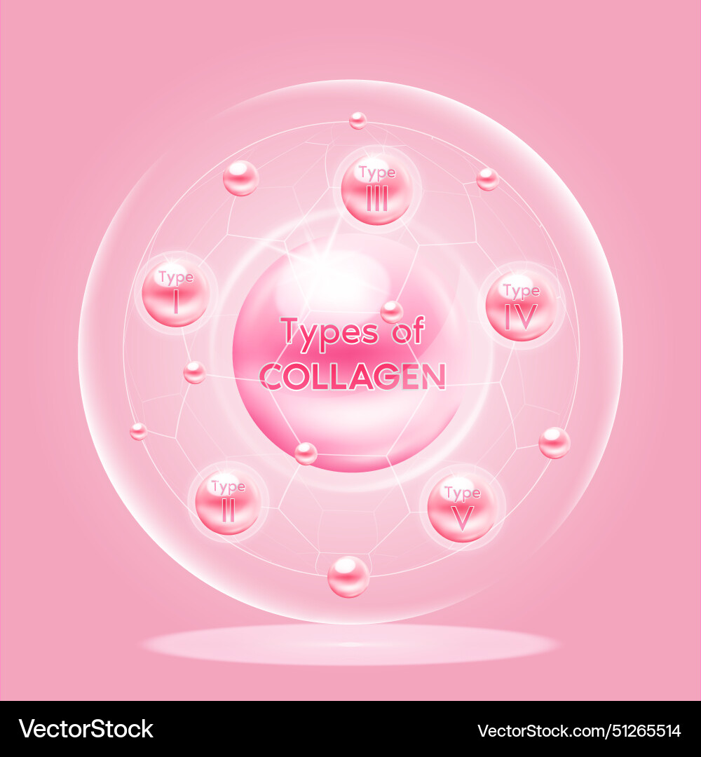 Collagen Royalty Free Vector Image - VectorStock