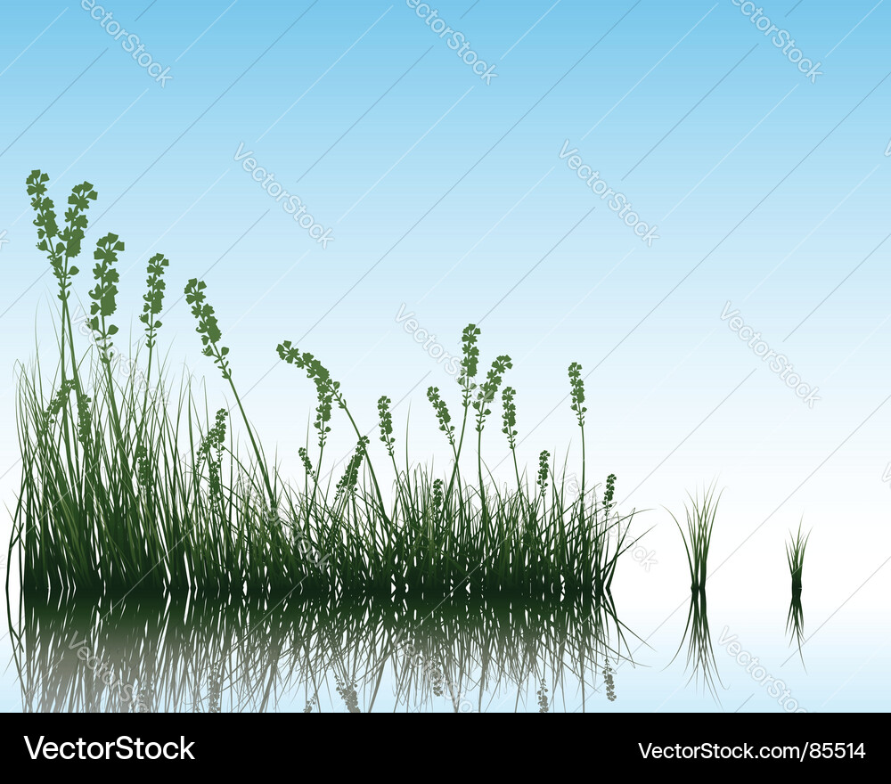 Serene Water Reflection Royalty Free Vector Image
