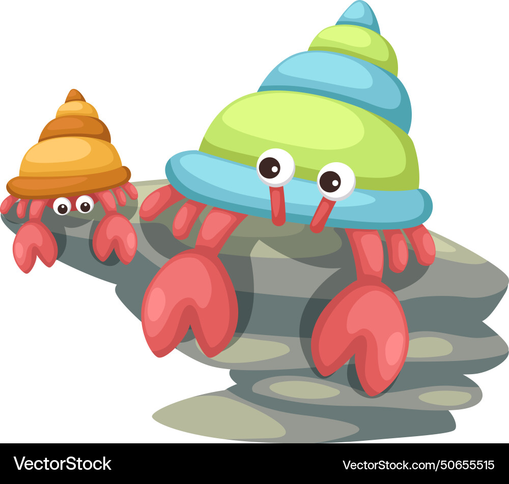 Isolated hermit crab Royalty Free Vector Image