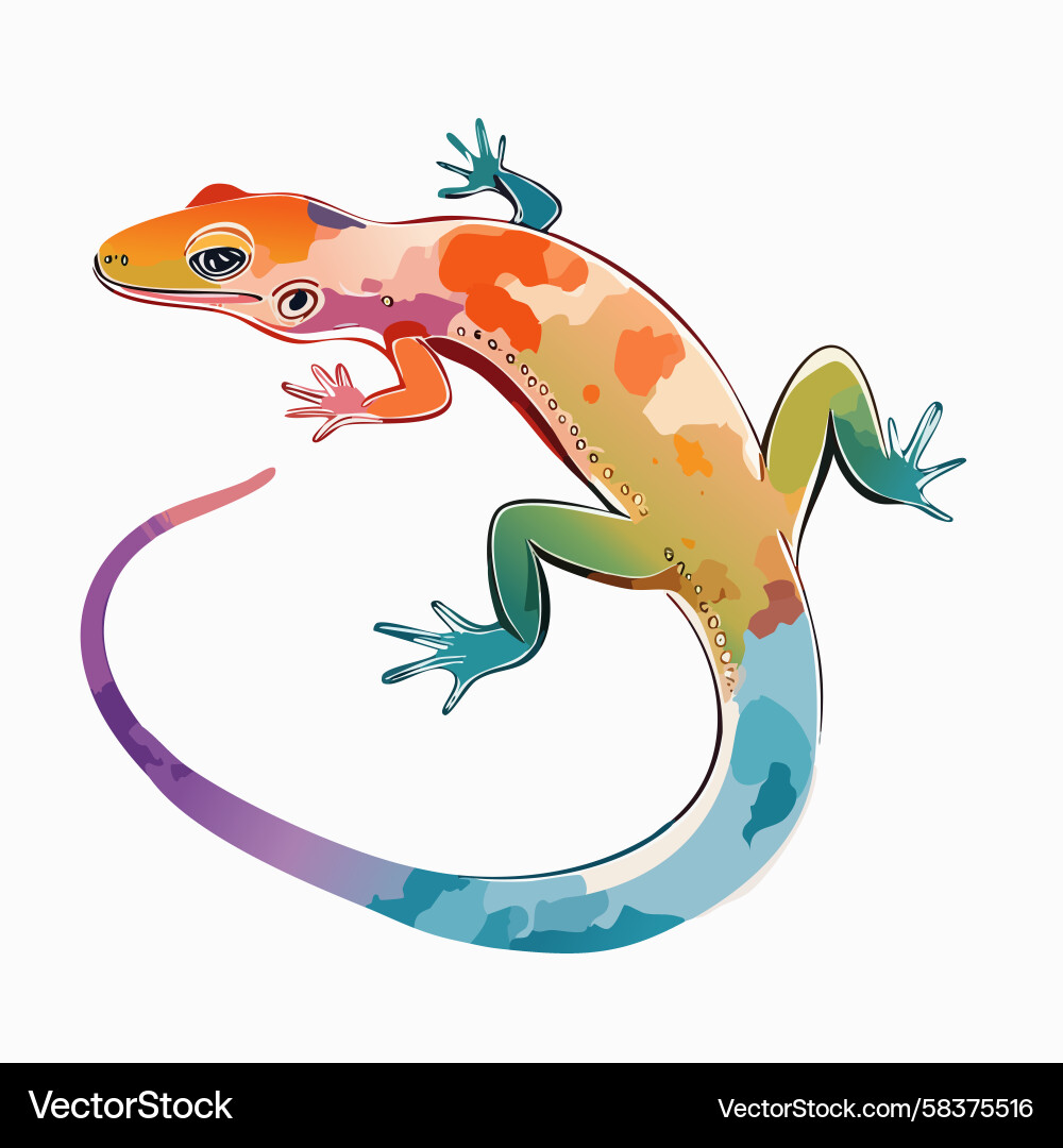 Colorful Gecko Rainbow Art Royalty Free Vector Image