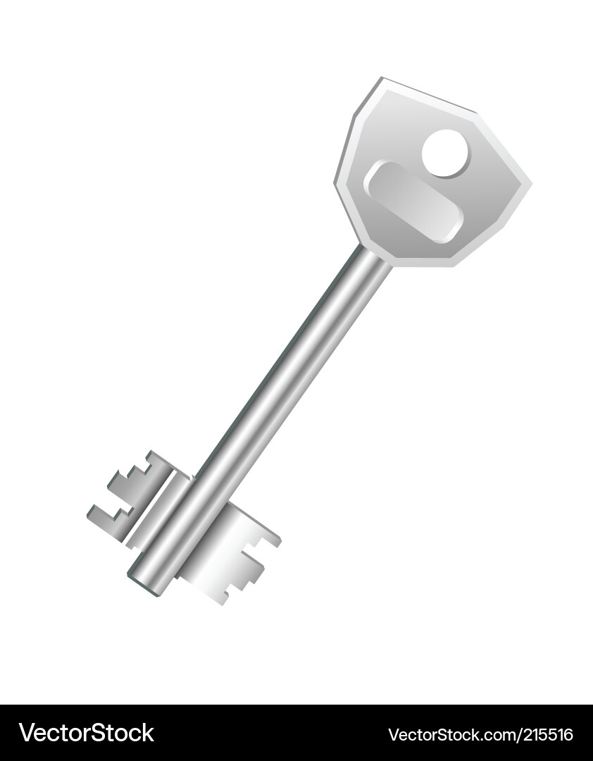 One key Royalty Free Vector Image - VectorStock