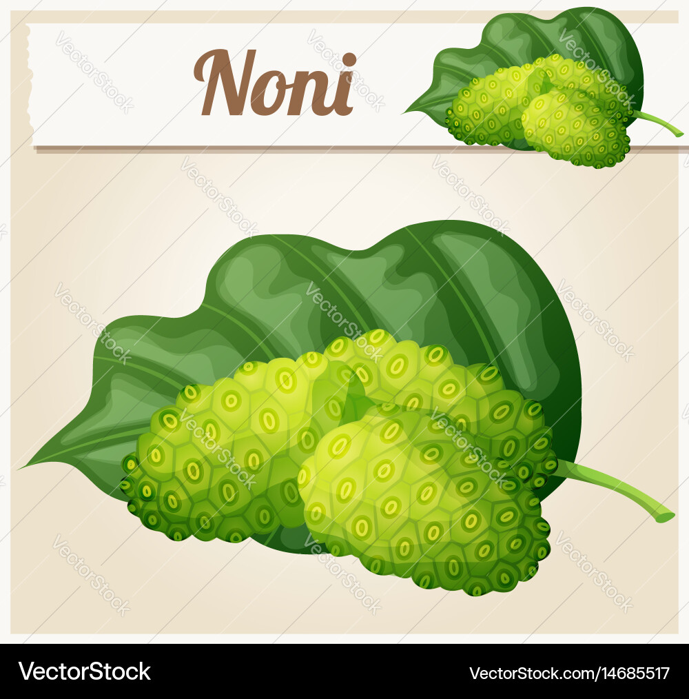 Noni fruit cartoon icon Royalty Free Vector Image