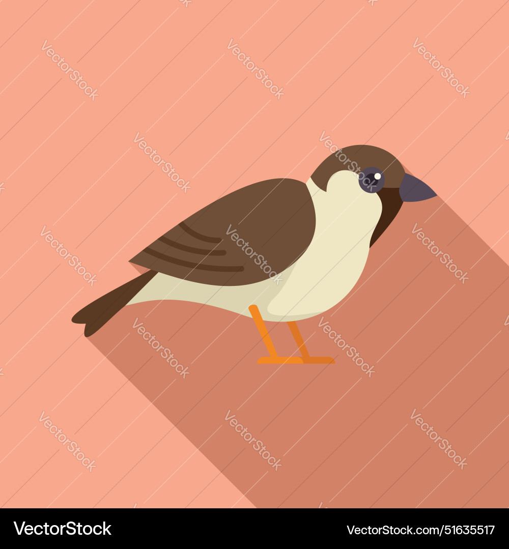 Small sparrow bird standing with long shadow Vector Image