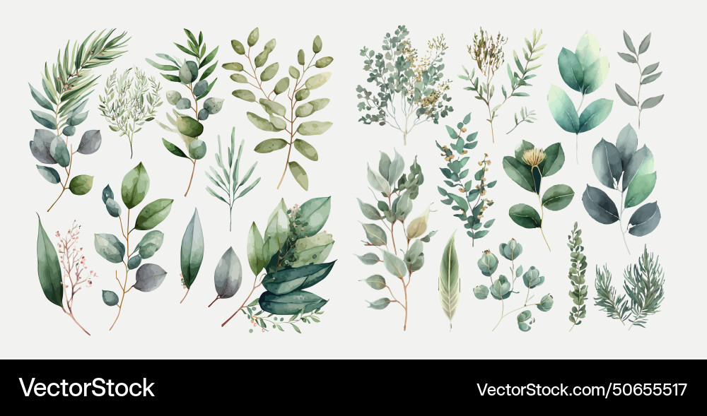 Greenery Borders Vector Images (over 13,000)