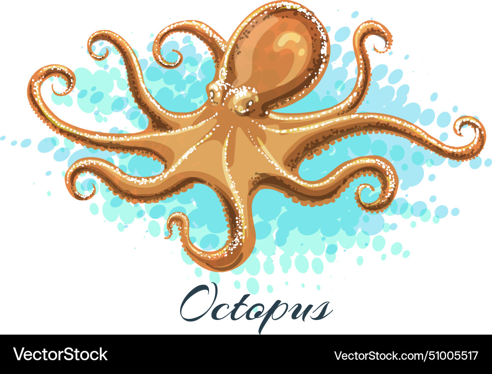 Watercolor octopus Royalty Free Vector Image - VectorStock