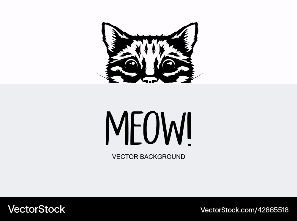 Monochrome hand drawn black white hiding Vector Image