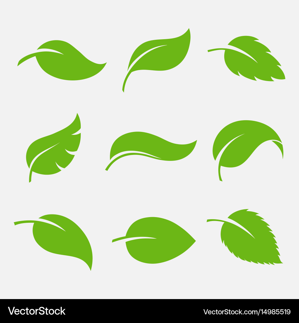 Green Leaf Icon Set Royalty Free Vector Image - VectorStock