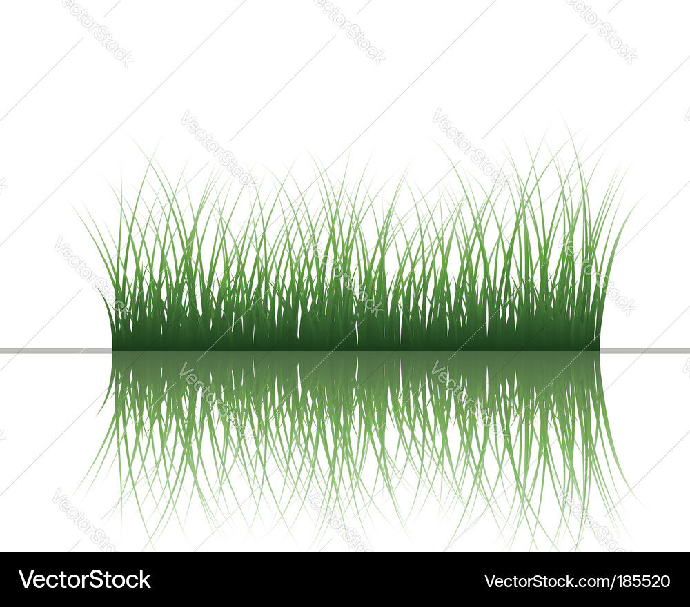Grass on water Royalty Free Vector Image - VectorStock