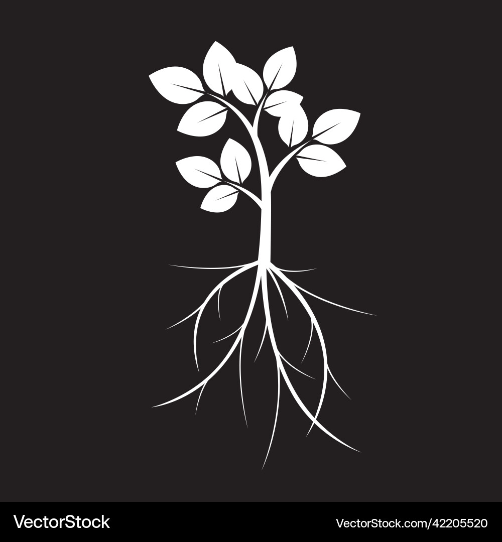 White tree and roots Royalty Free Vector Image