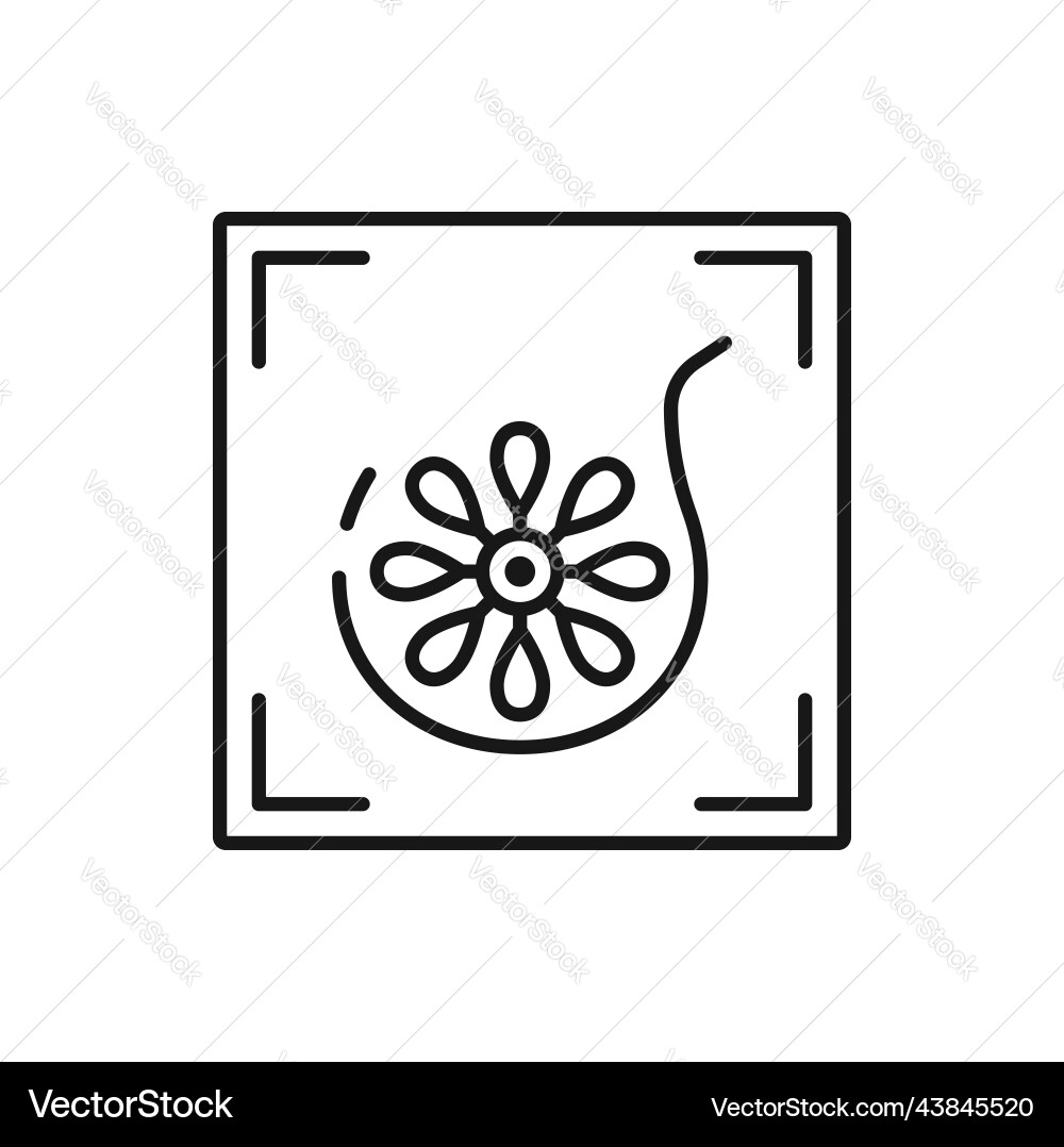 X-ray digital mammogram mammography breast image Vector Image