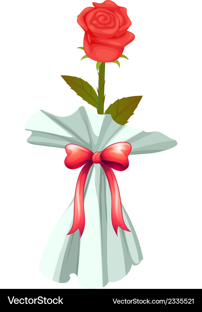 A red rose Royalty Free Vector Image - VectorStock