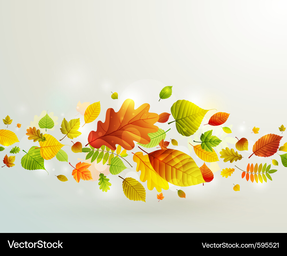 Autumn leaves Royalty Free Vector Image - VectorStock