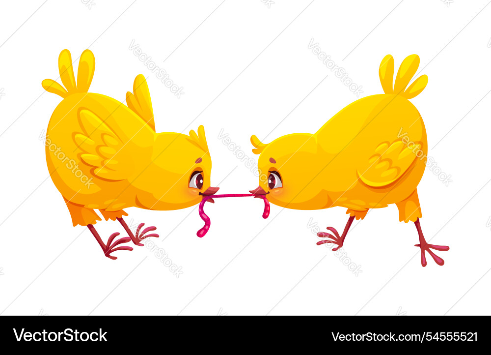 Cartoon chicks funny characters fighting for worm Vector Image
