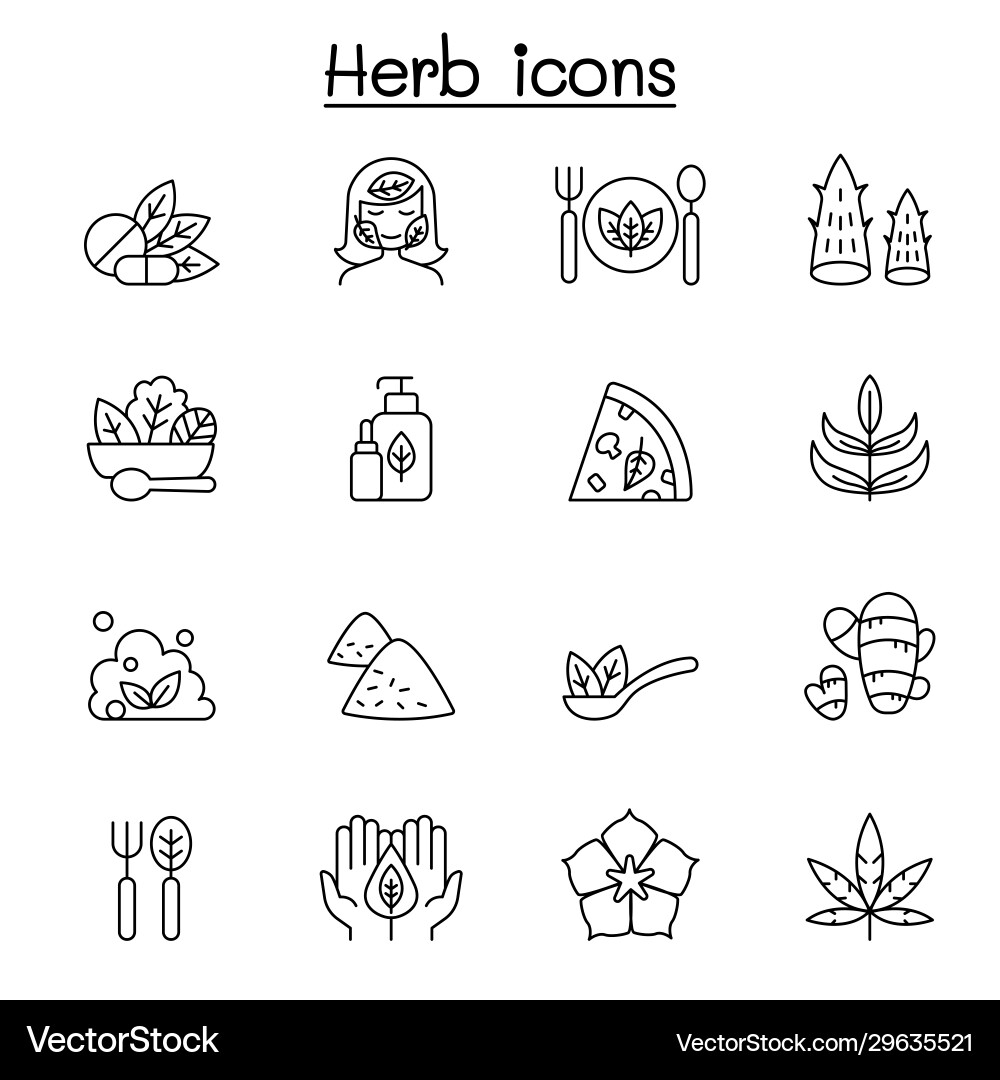 Herb icon set in thin line style Royalty Free Vector Image