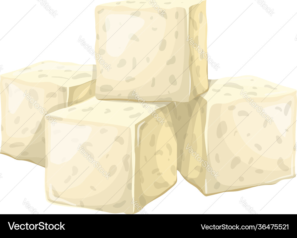 Tofu square slice Royalty Free Vector Image - VectorStock