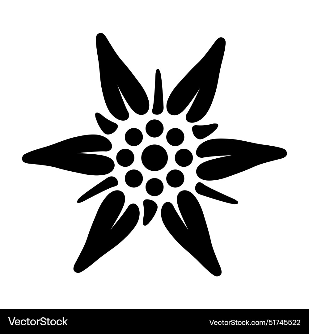 Edelweiss icon Royalty Free Vector Image - VectorStock