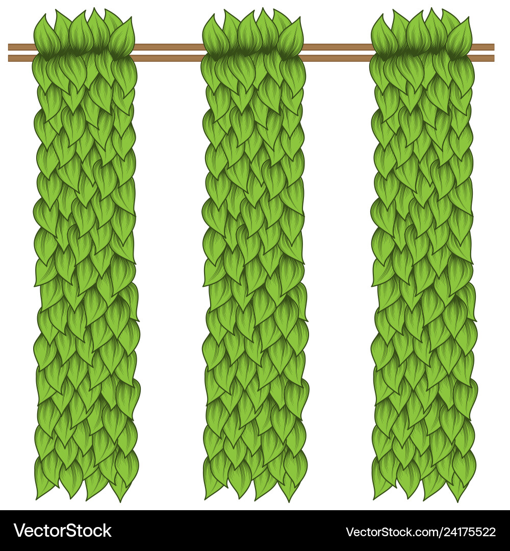 Green leaves vertical Royalty Free Vector Image