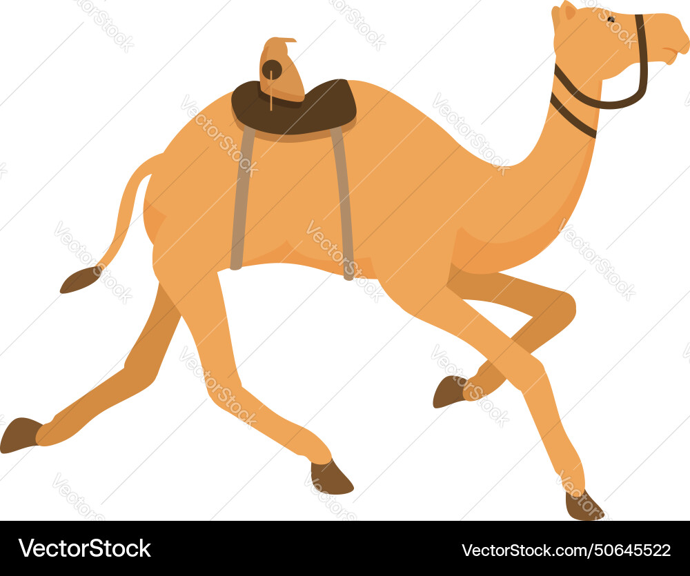 Young camel run icon cartoon chase rearing Vector Image