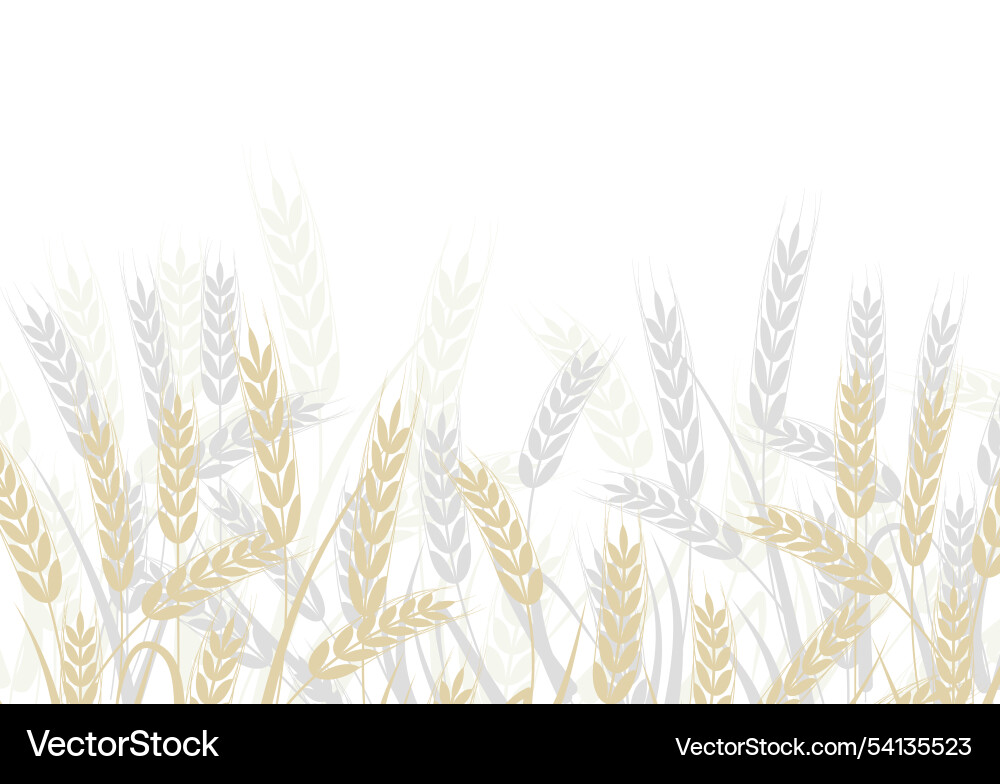 Grain rye wheat - background banner Royalty Free Vector