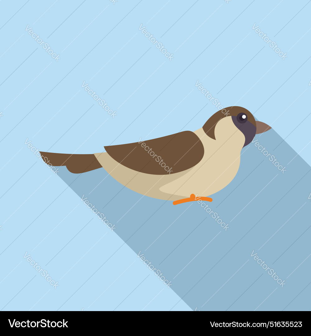 Small bird sparrow standing still looking right Vector Image