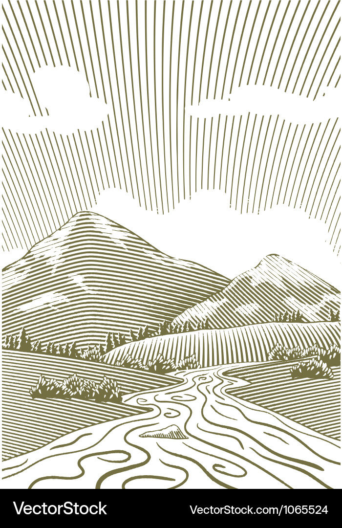 Woodcut mountain stream Royalty Free Vector Image