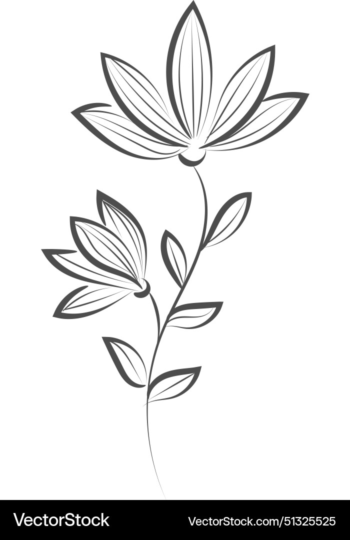 Line flower and leaves for print Royalty Free Vector Image