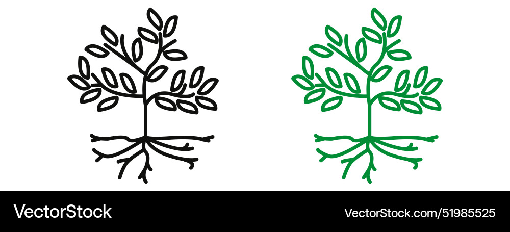 Tree with roots and leaves icon mark in filled Vector Image