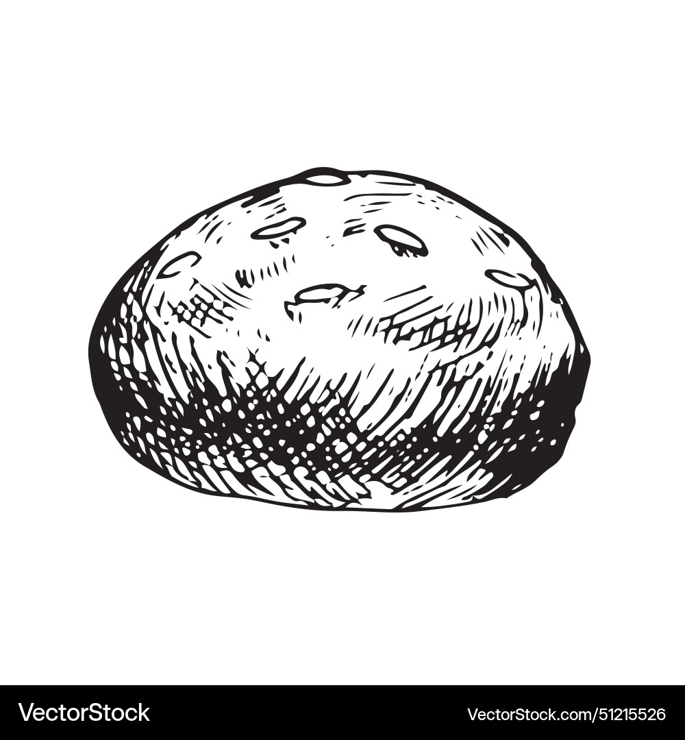 Graphic of bun with seeds Royalty Free Vector Image