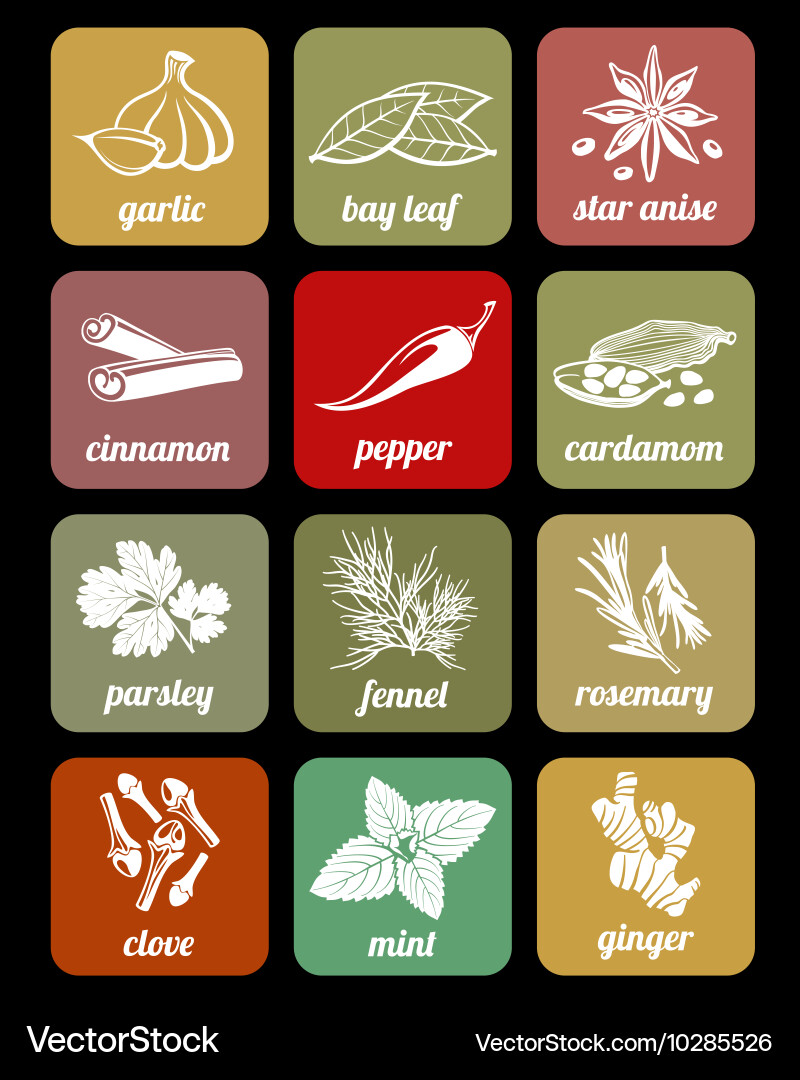Herbs and spices cook culinary ingredients Vector Image