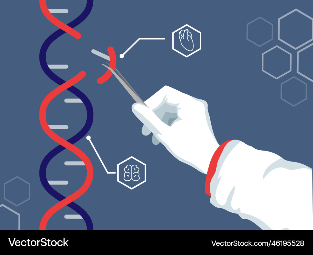 Dna genome genetics modification engineering Vector Image