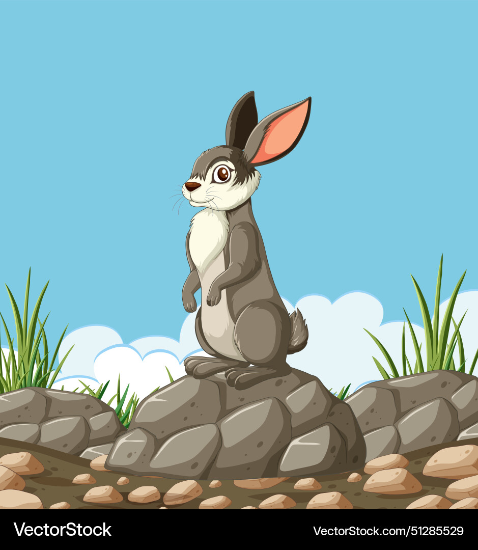 A rabbit sitting on rocks Royalty Free Vector Image