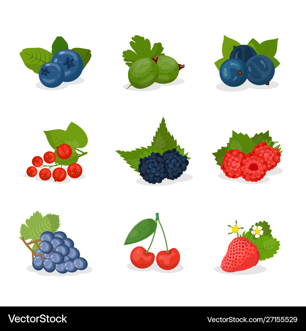 Berries fruit with names set Royalty Free Vector Image