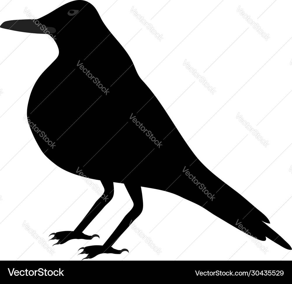 Black crow Royalty Free Vector Image - VectorStock