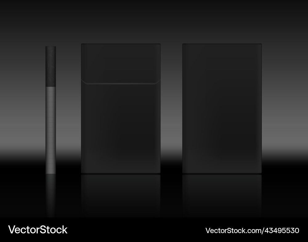 Front and back view of flip-top cigarette pack Vector Image