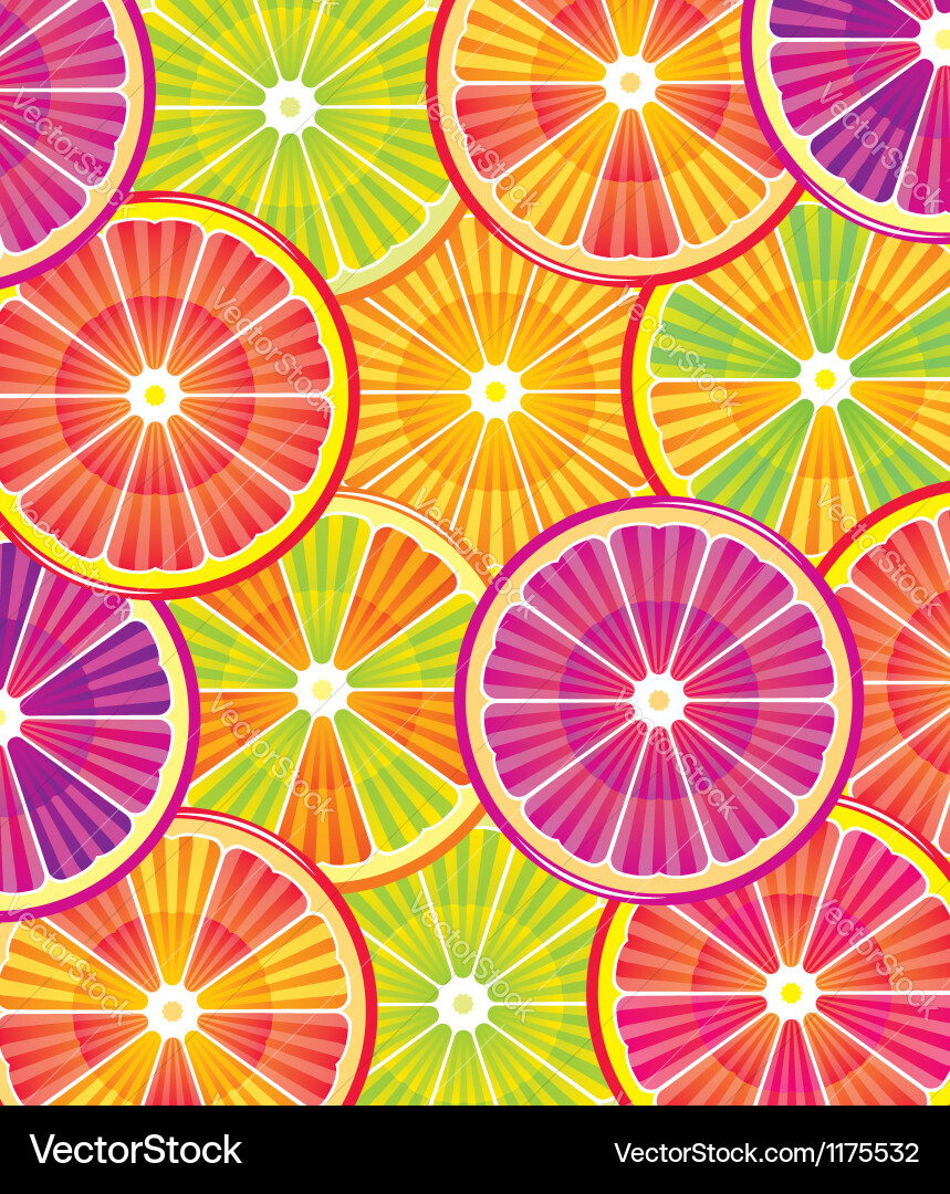Citrus background Royalty Free Vector Image - VectorStock