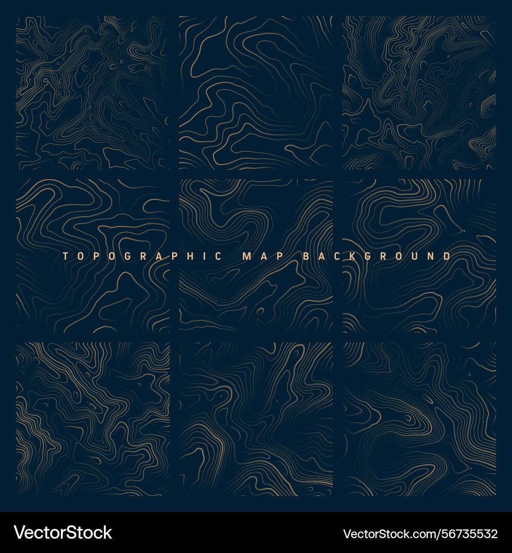 Colorful topographic maps with contour lines Vector Image