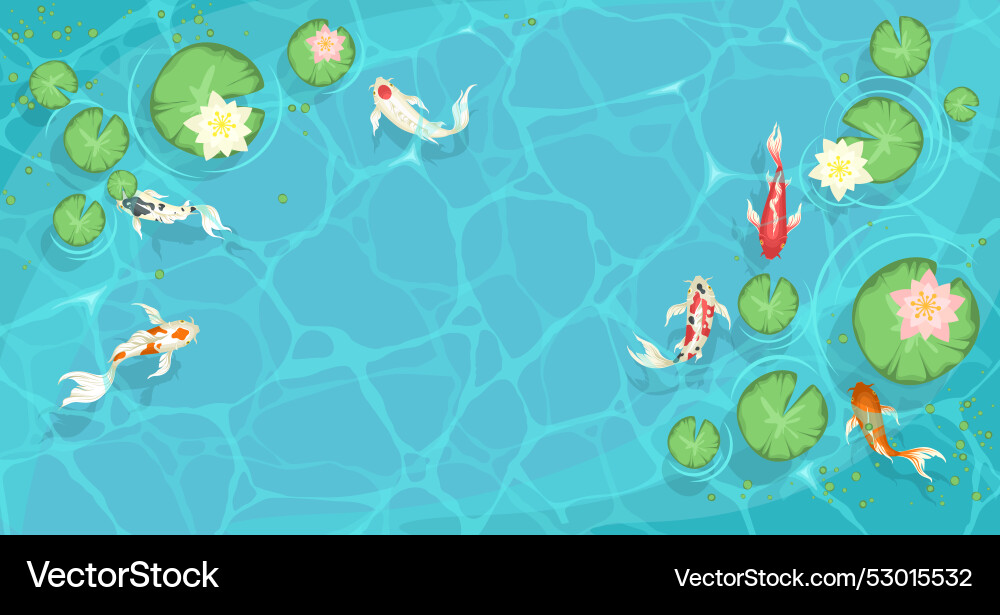 Lake top view background with swimming koi fish Vector Image
