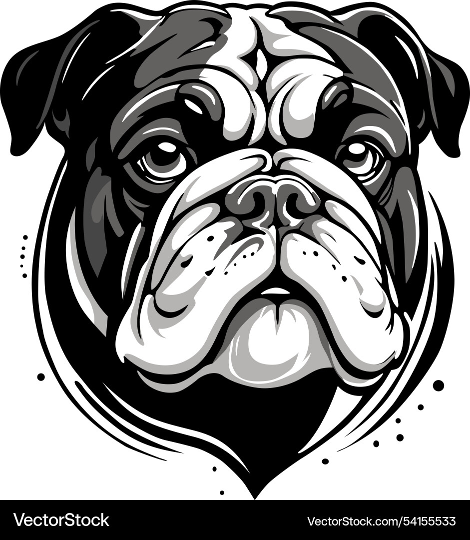 Bulldog Royalty Free Vector Image - VectorStock