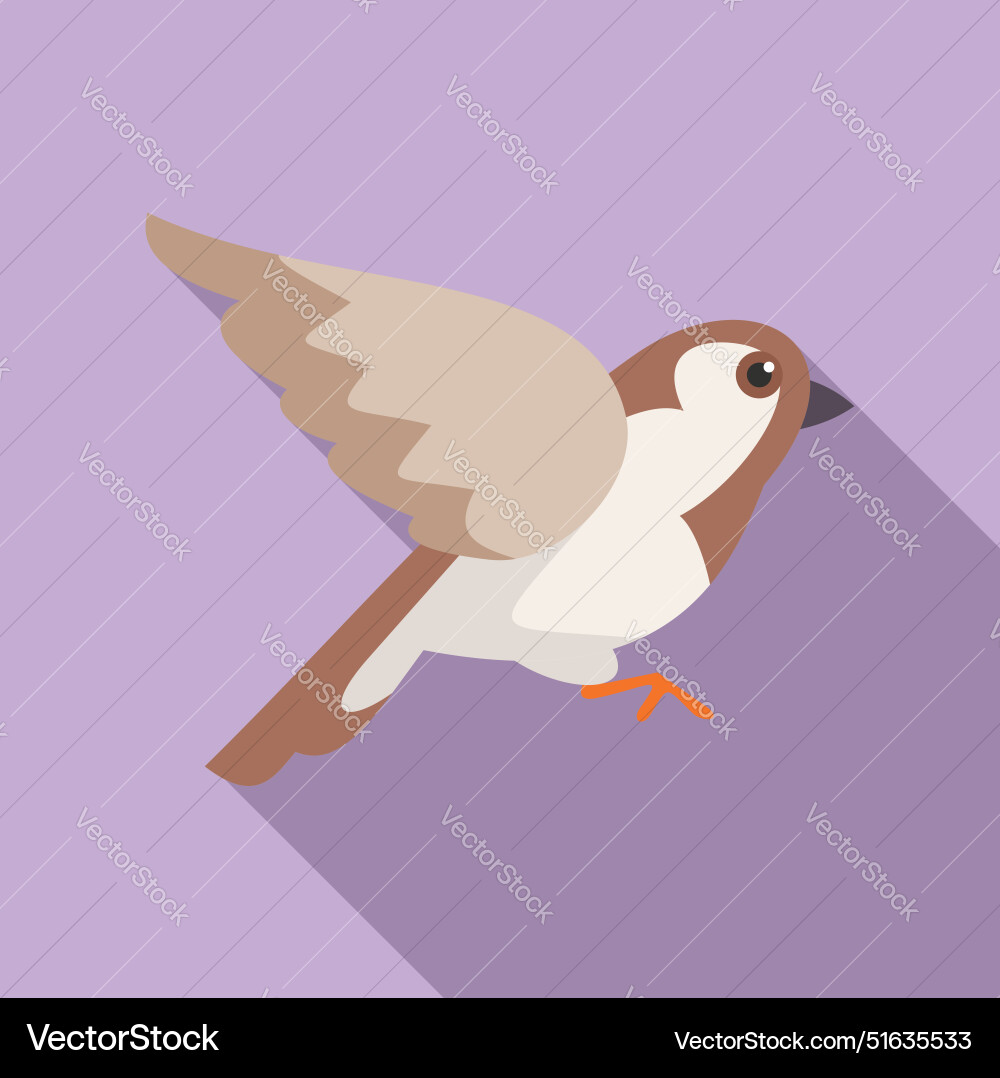 Sparrow bird is flapping its wings in flight Vector Image