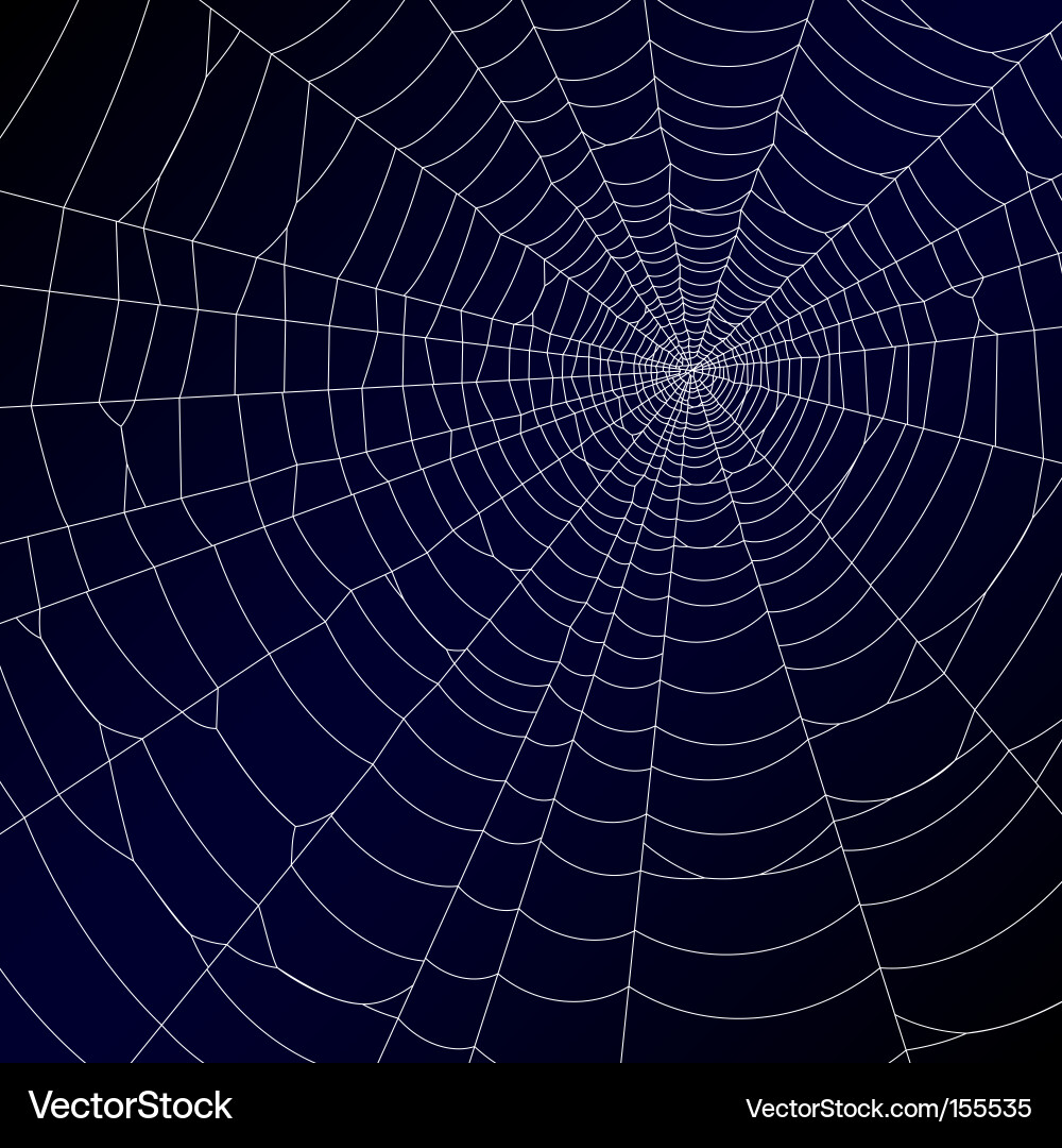 Intricate Spiderweb Royalty Free Vector Image - VectorStock