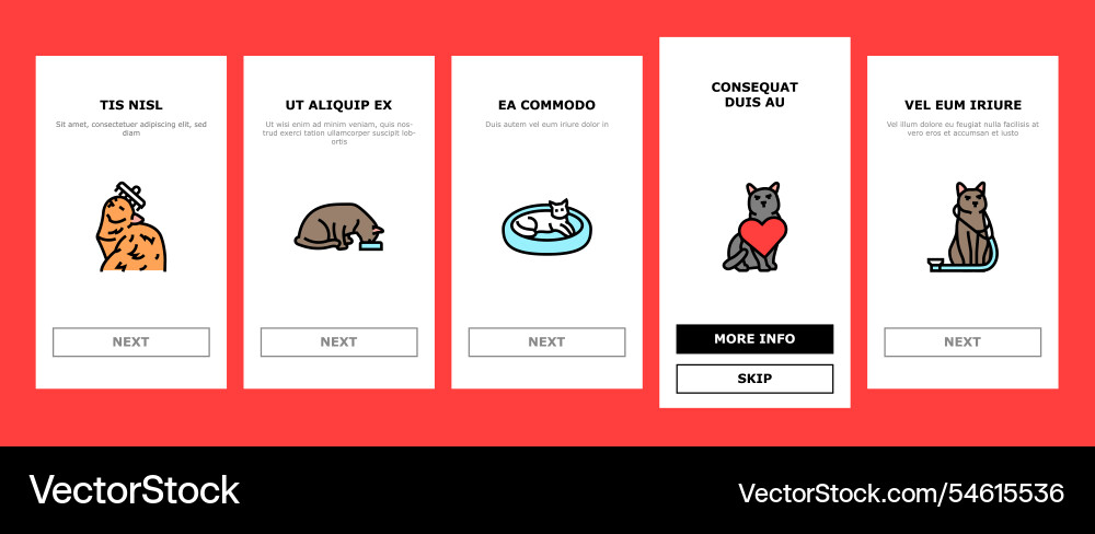 Cat breeding genetics cattery onboarding icons set