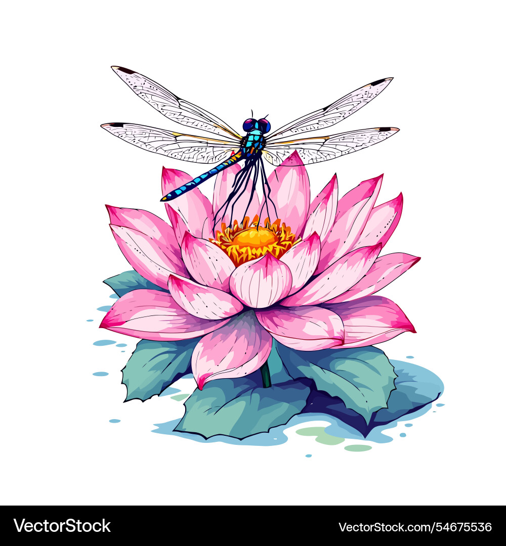 Dragon and lotus flower Royalty Free Vector Image