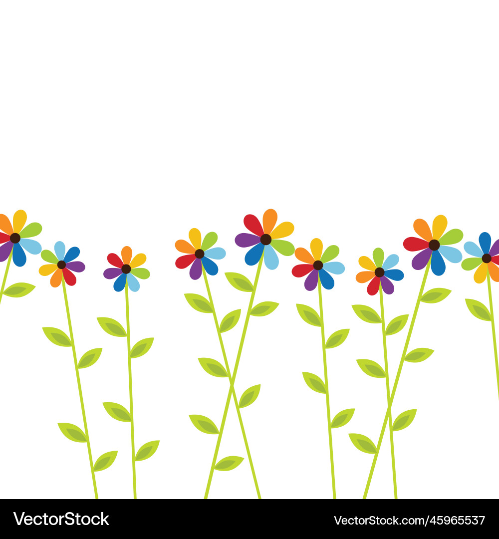 Colorful rainbow flowers on white background Vector Image
