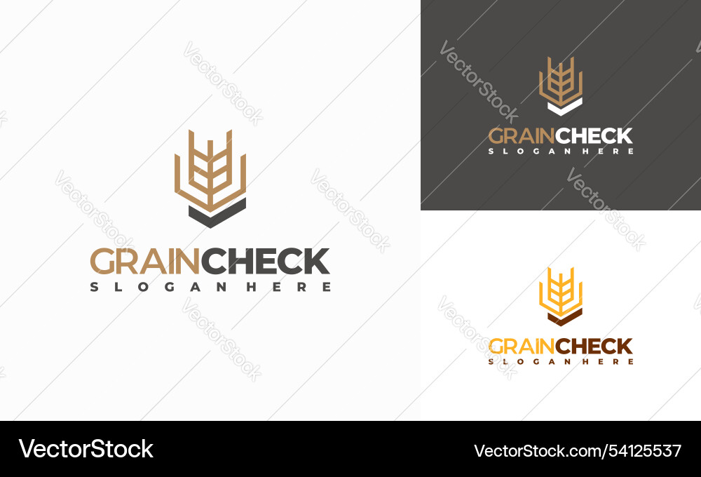 Grain wheat check logo designs concept Royalty Free Vector