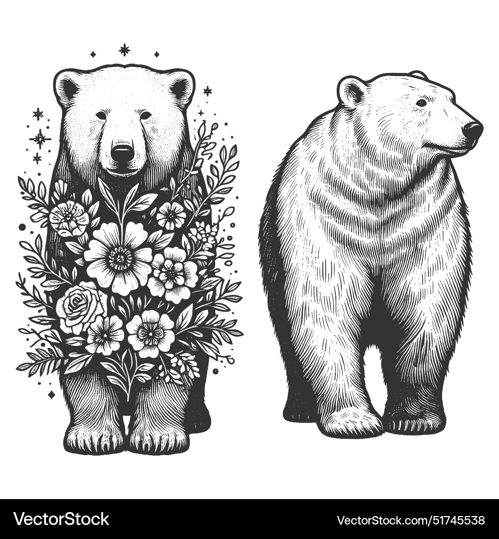 Floral polar bear engraving Royalty Free Vector Image
