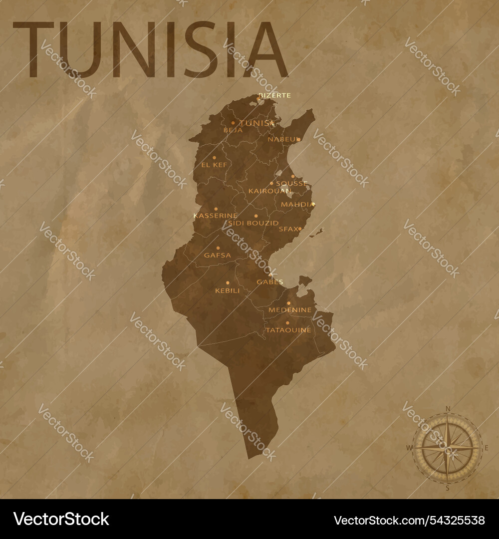 Vintage tunisia map with regions borders Vector Image